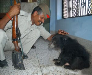Human-Elephant Conflict Mitigation - Wildlife SOS