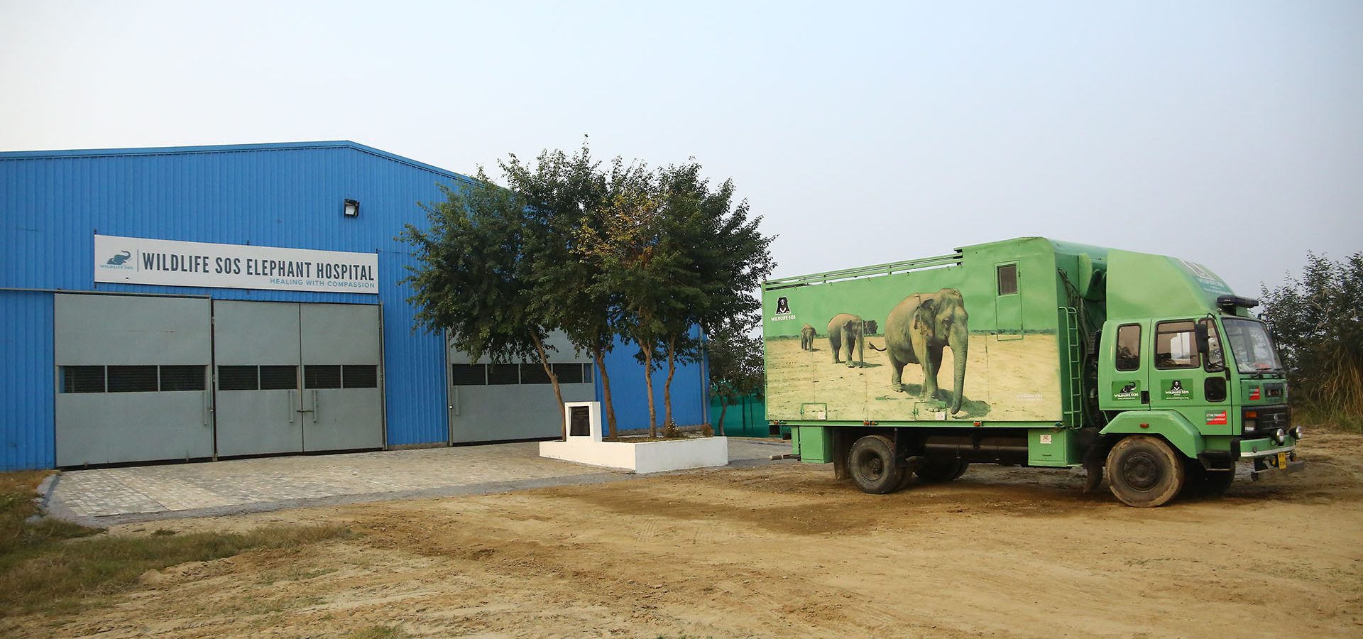 Elephant Hospital - Wildlife SOS